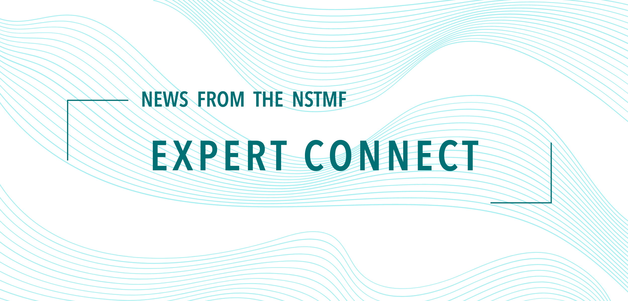 Press Release: NSTMF redefining “STEM role model” with the Expert ...
